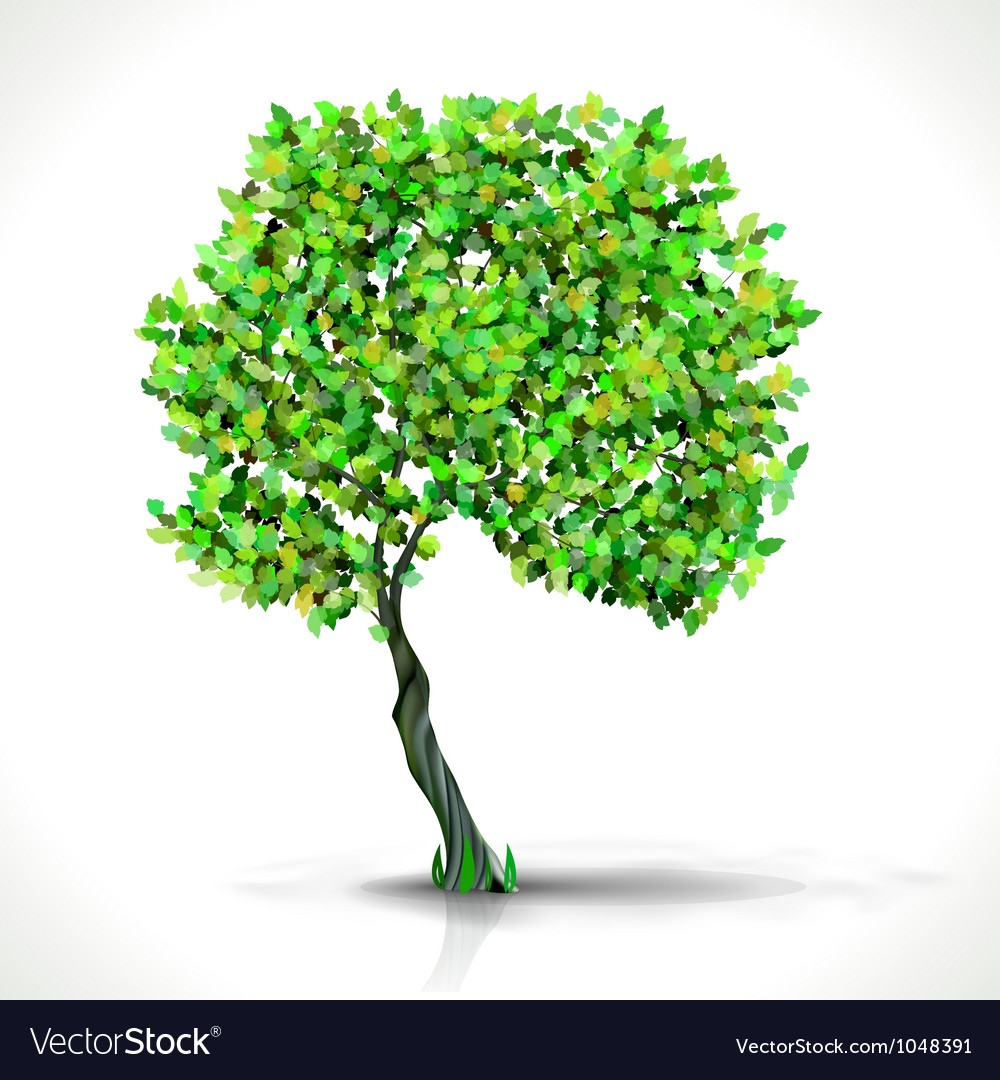 Green Tree Royalty Free Vector Image - VectorStock
