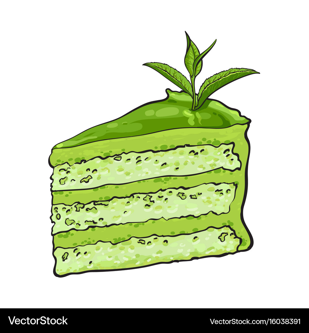 Hand drawn piece matcha green tea layered cake Vector Image