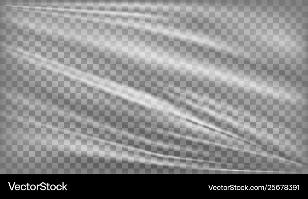 Transparent polyethylene plastic warp for food Vector Image