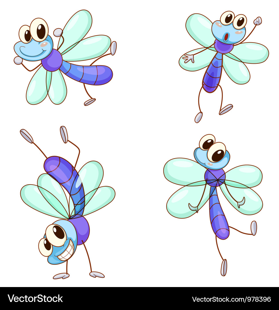 Cute dragonflies Royalty Free Vector Image - VectorStock