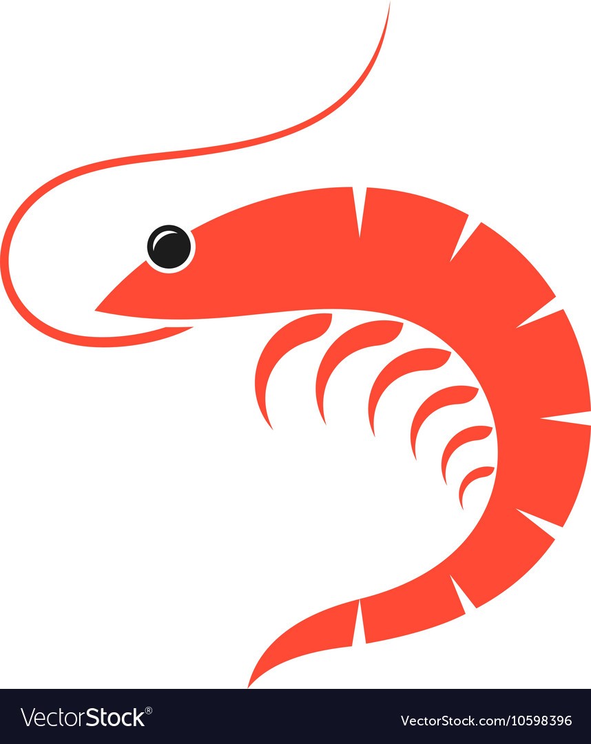 Prawn Royalty Free Vector Image - VectorStock