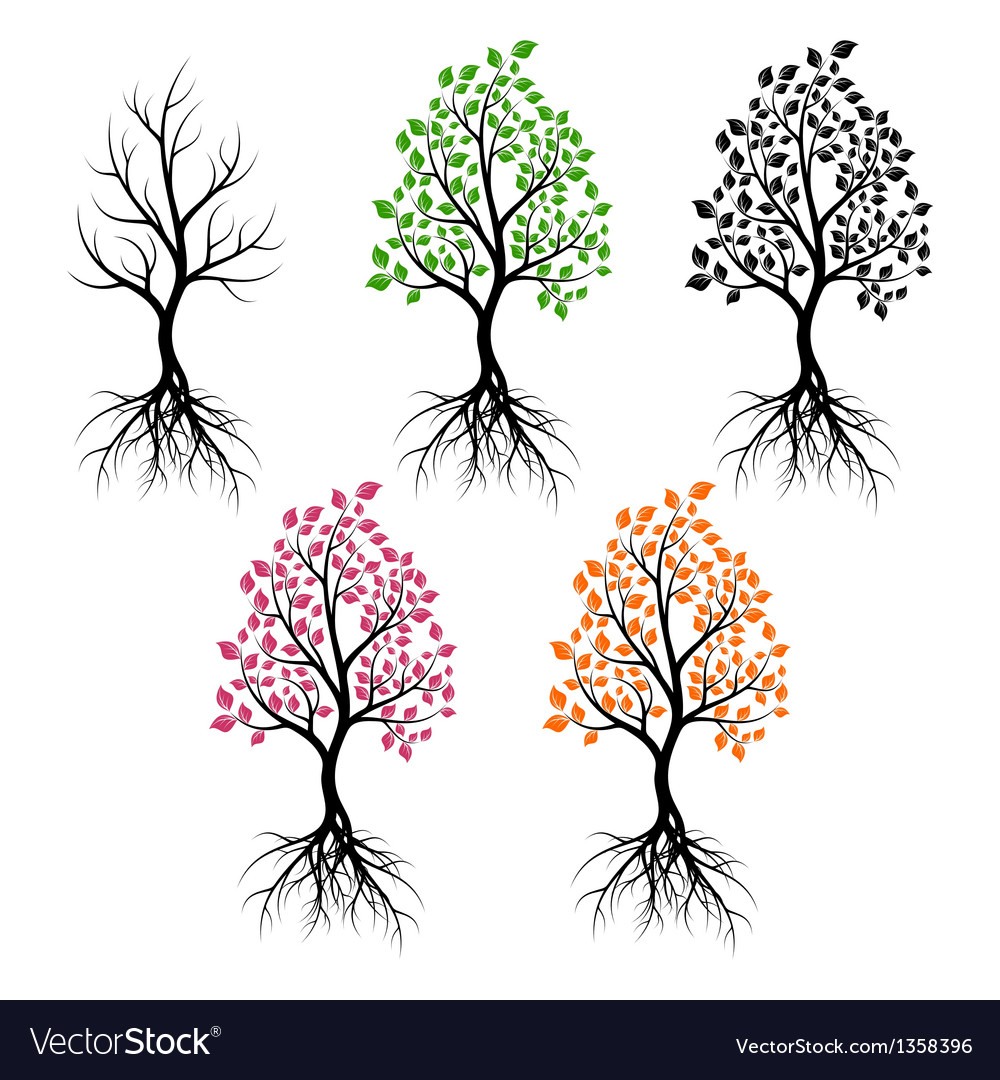 Set of trees Royalty Free Vector Image - VectorStock