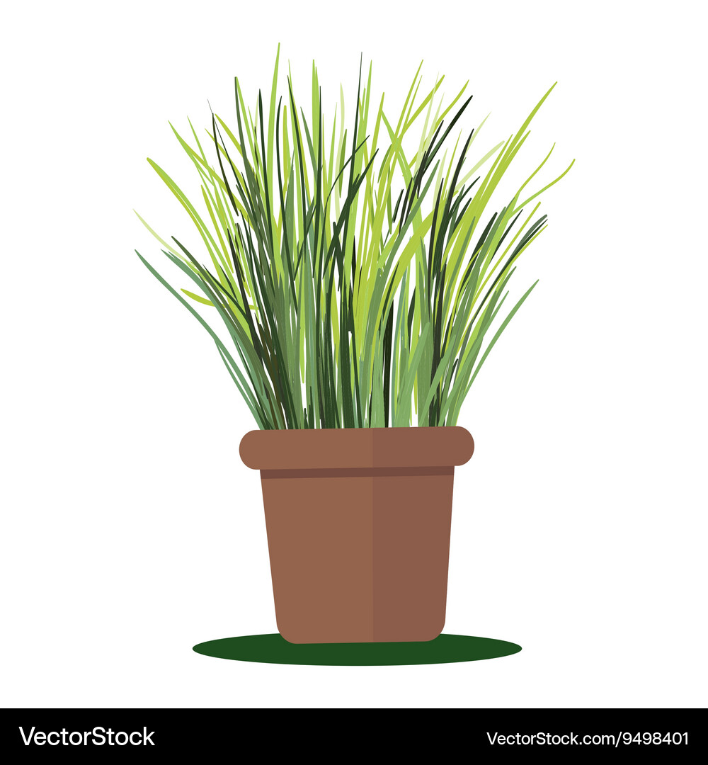Colorful of plant Royalty Free Vector Image - VectorStock