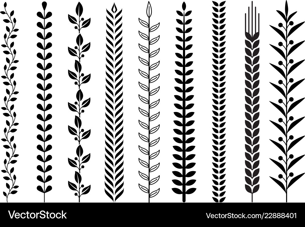 Leaf nature pattern Royalty Free Vector Image - VectorStock