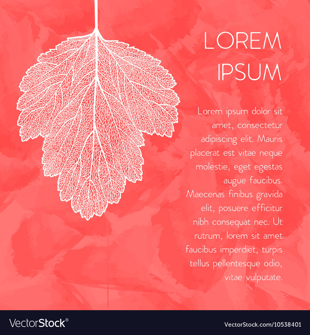 Manually drawn leaf skeleton Royalty Free Vector Image