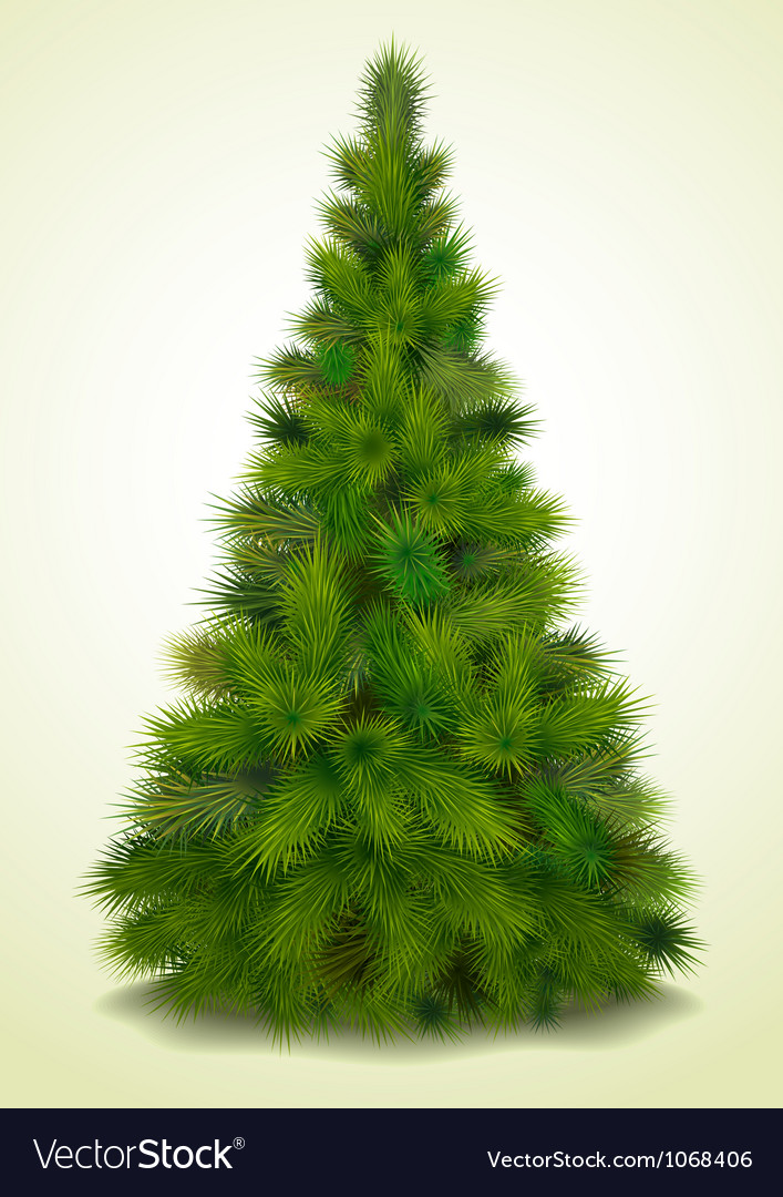 Christmas tree Royalty Free Vector Image - VectorStock
