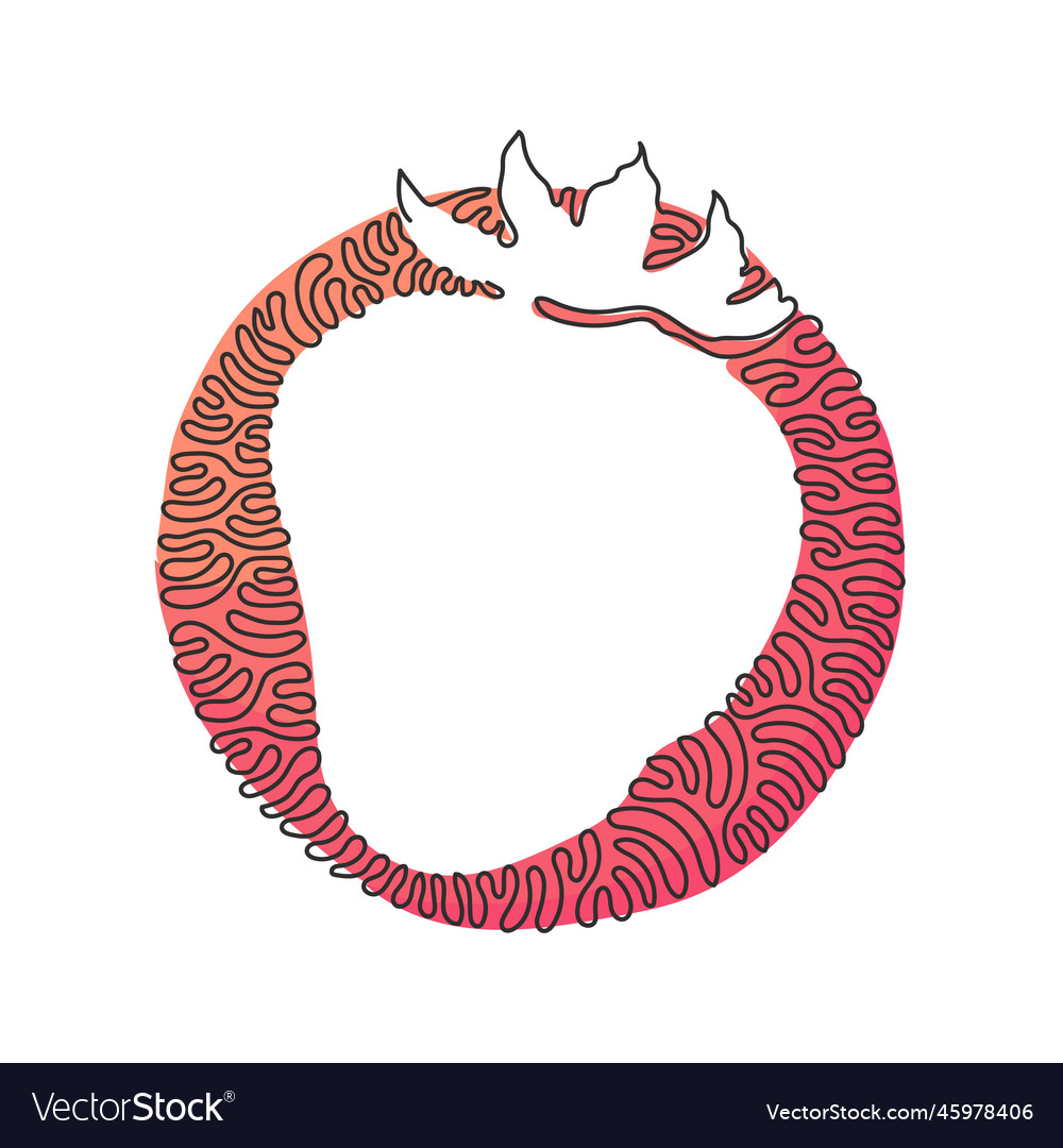 Continuous One Line Drawing Whole Healthy Organic Vector Image