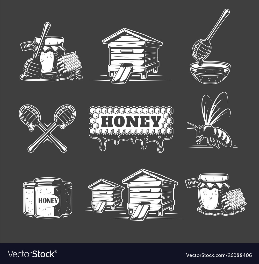 Set elements honey Royalty Free Vector Image - VectorStock