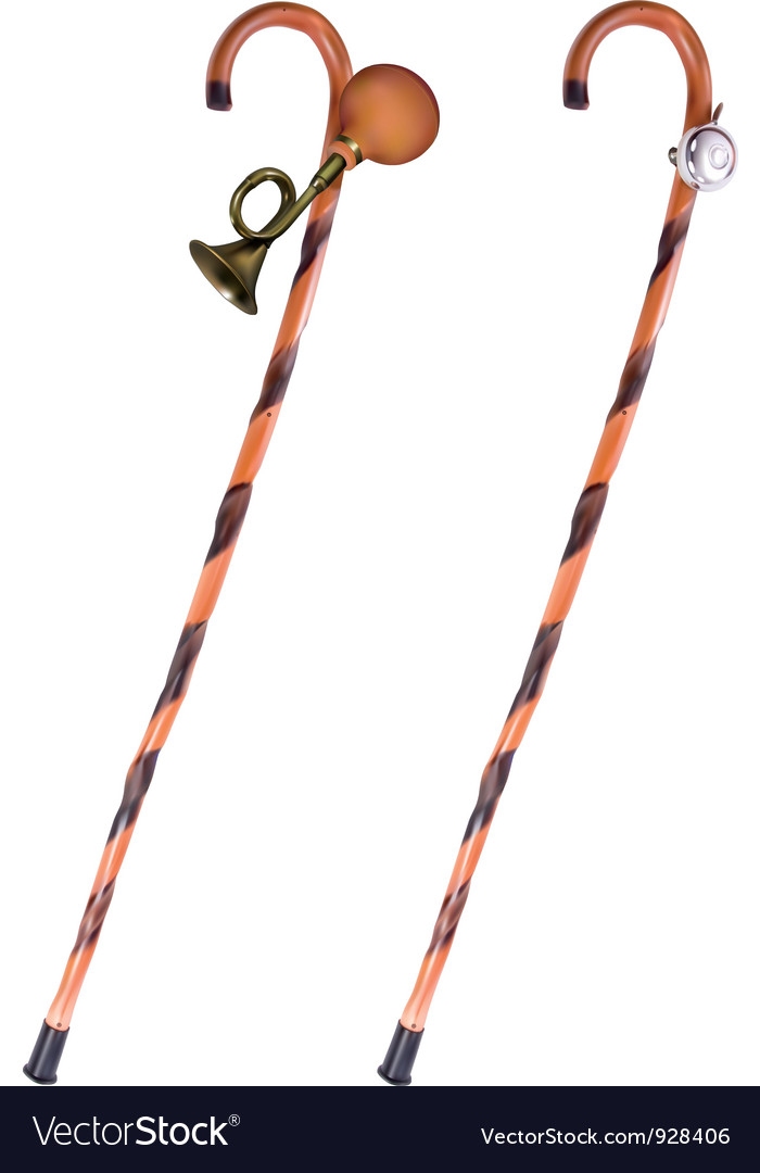 Walking stick Royalty Free Vector Image - VectorStock