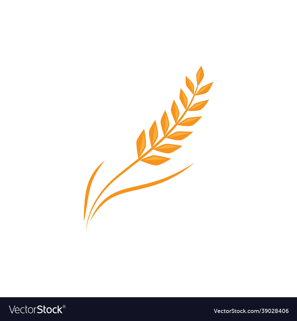Wheat design Royalty Free Vector Image - VectorStock