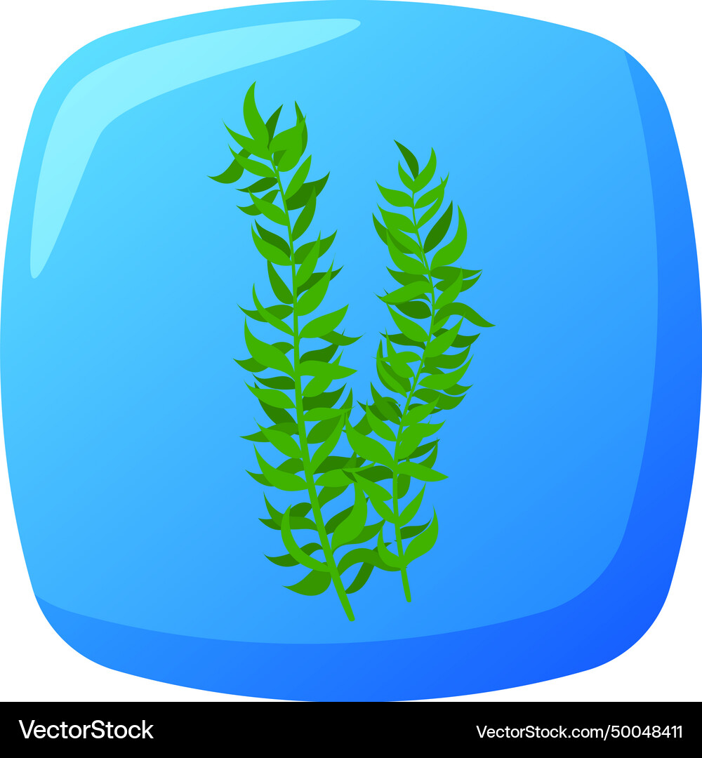Green seaweed in water Royalty Free Vector Image