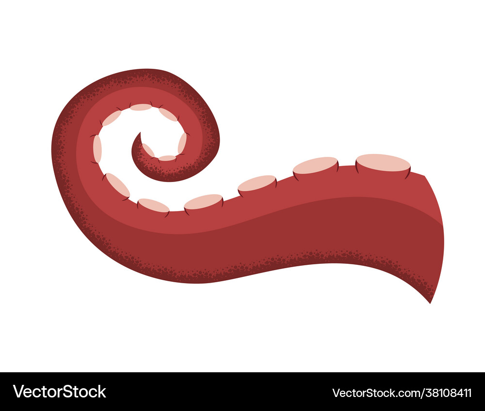 Octopus tentacle underwater animal sea squid Vector Image