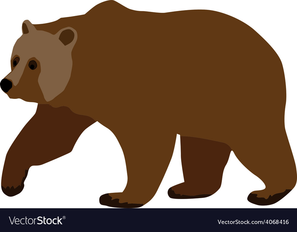 Bear Royalty Free Vector Image - VectorStock