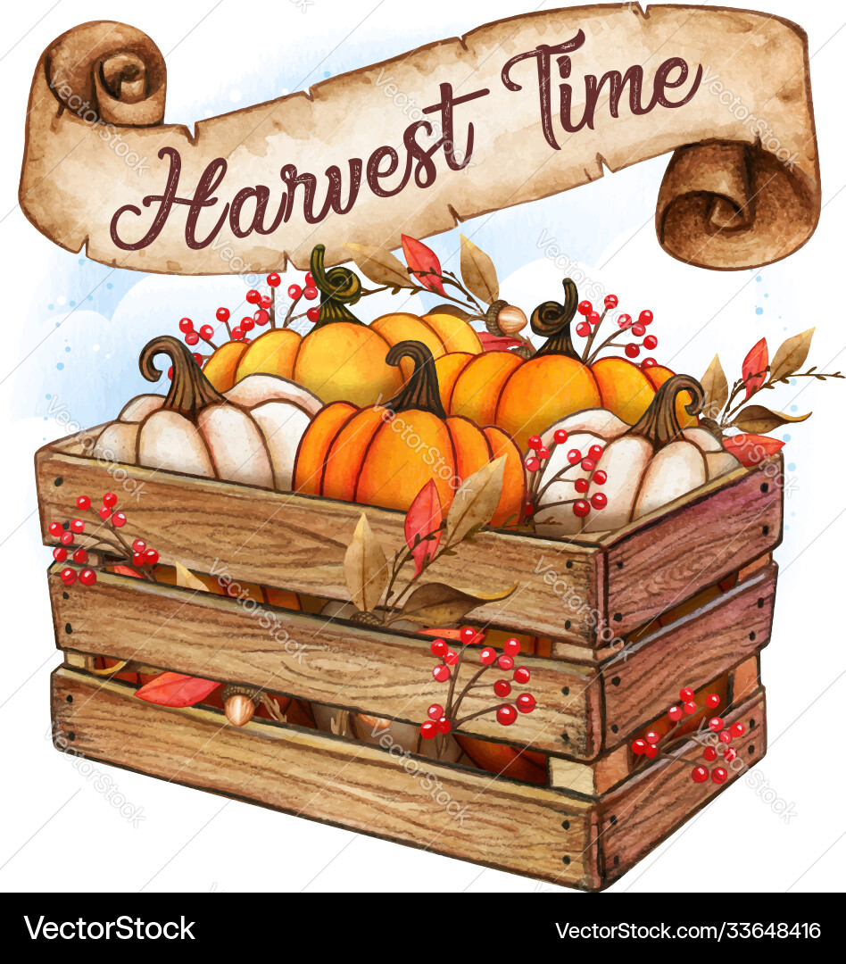 Rustic watercolor wooden crate with pumpkins Vector Image