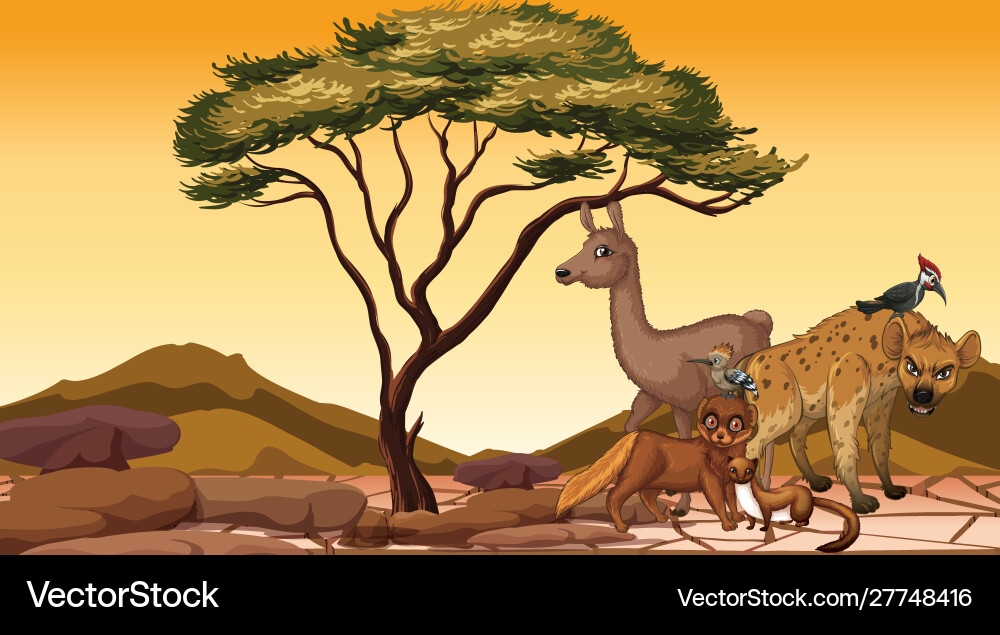Scene with many animals in desert Royalty Free Vector Image