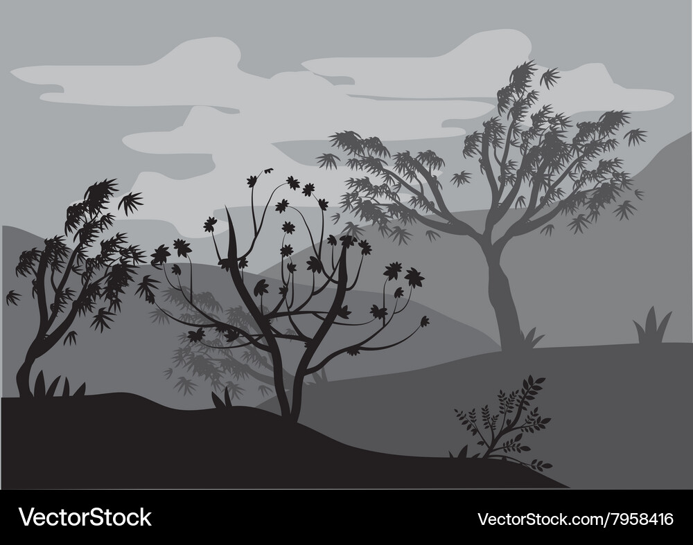 Silhouettes of trees by storms Royalty Free Vector Image