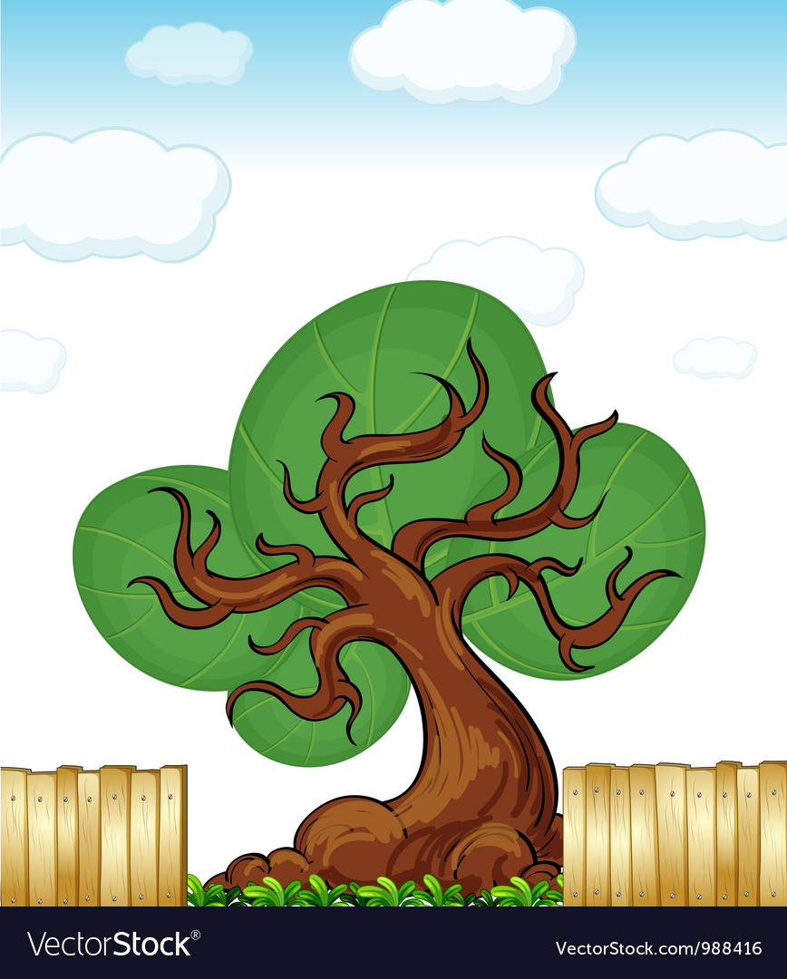 Tree Royalty Free Vector Image - VectorStock