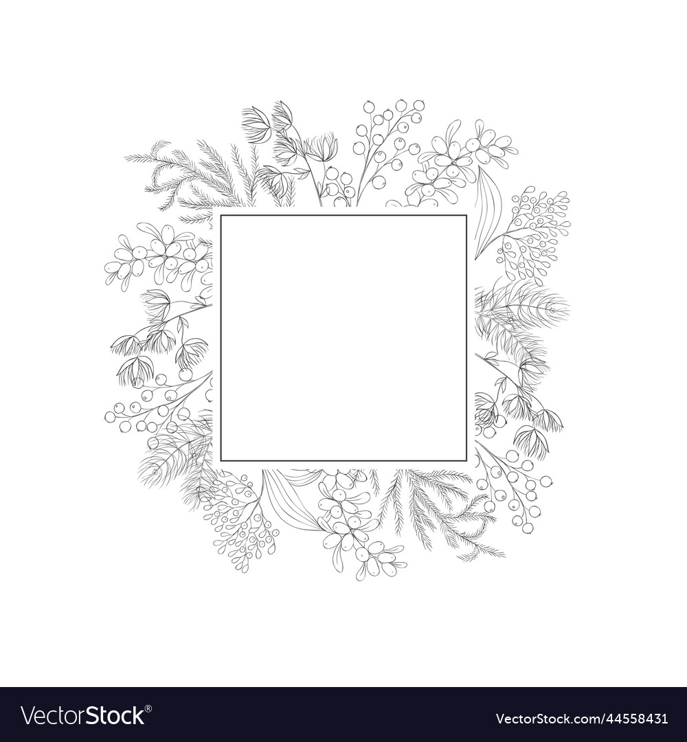 Christmas frame with winter plants Royalty Free Vector Image