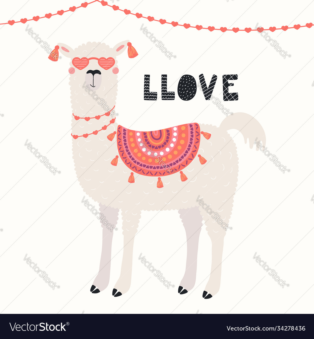Cute llama valentines day card Royalty Free Vector Image