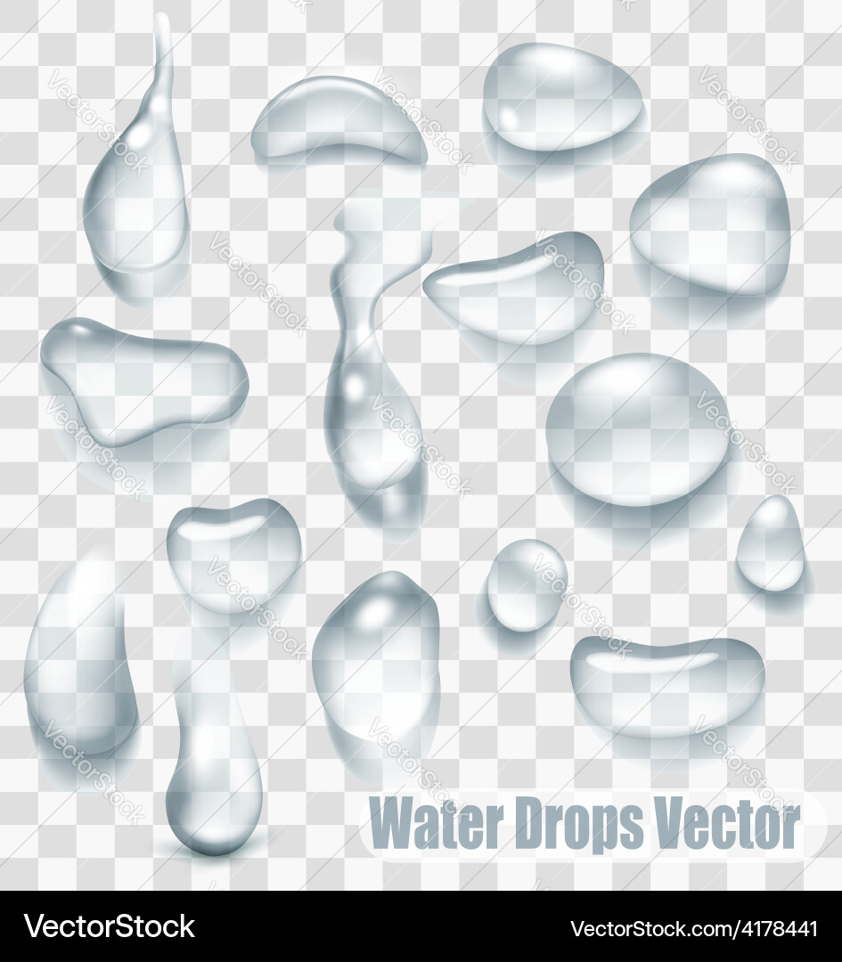 Big set of transparent drops water Royalty Free Vector Image