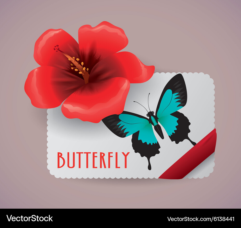 Butterfly design Royalty Free Vector Image - VectorStock