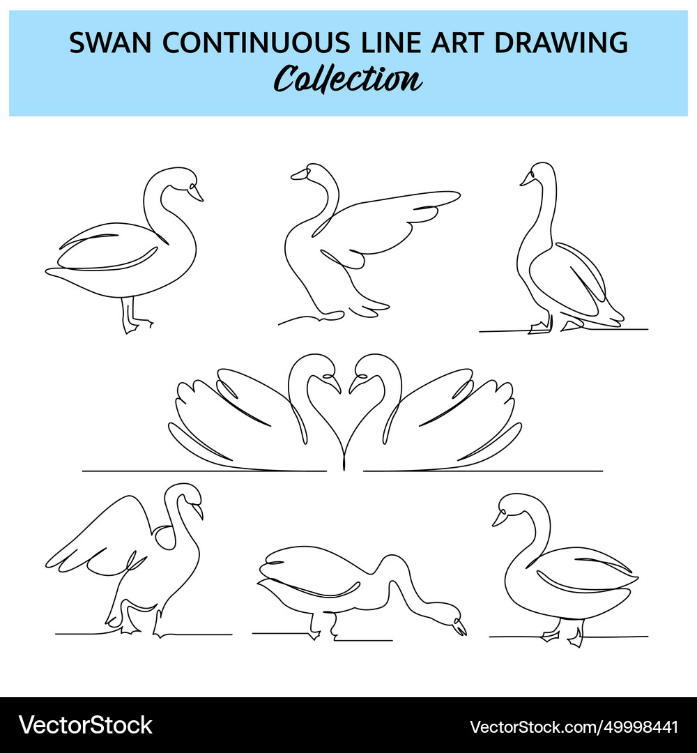 Set of swan line design decorative elements Vector Image