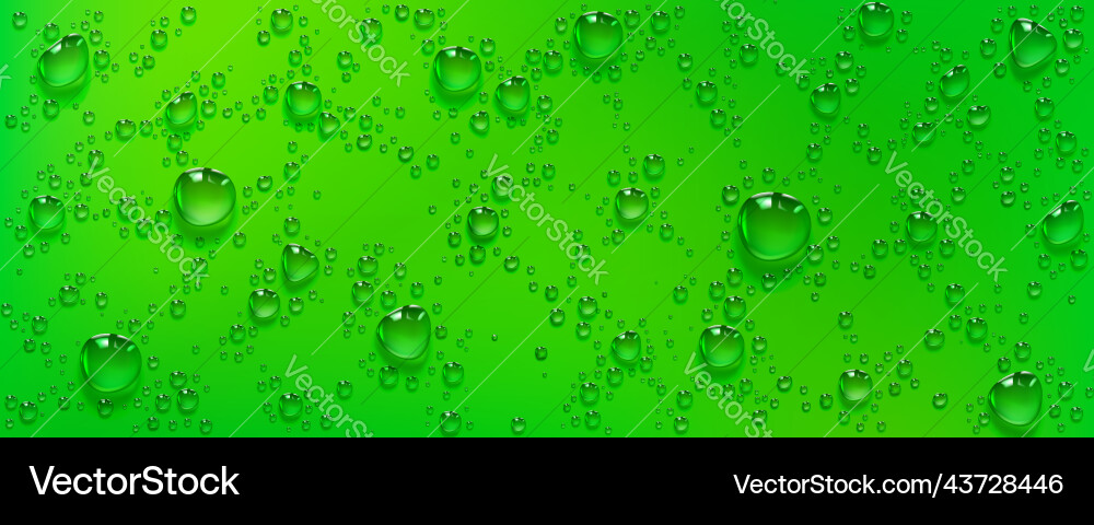 Condensation water drops on green background rain Vector Image