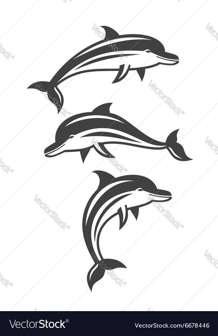 Dolphin set Royalty Free Vector Image - VectorStock