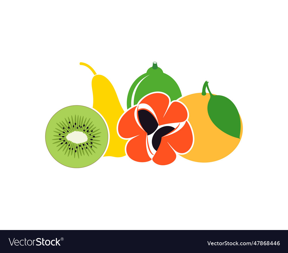 Fruit Royalty Free Vector Image - VectorStock