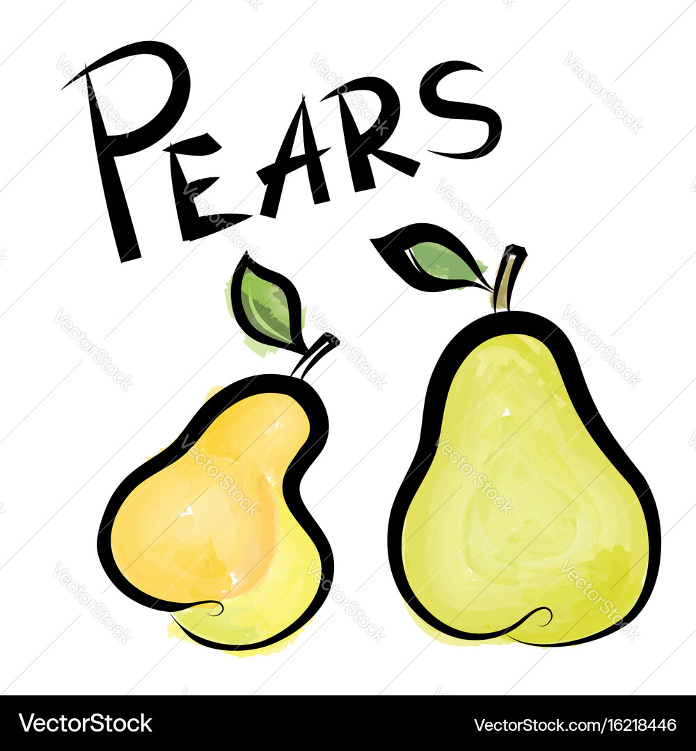 Pears sign isolated pear fruit tag fresh farm Vector Image