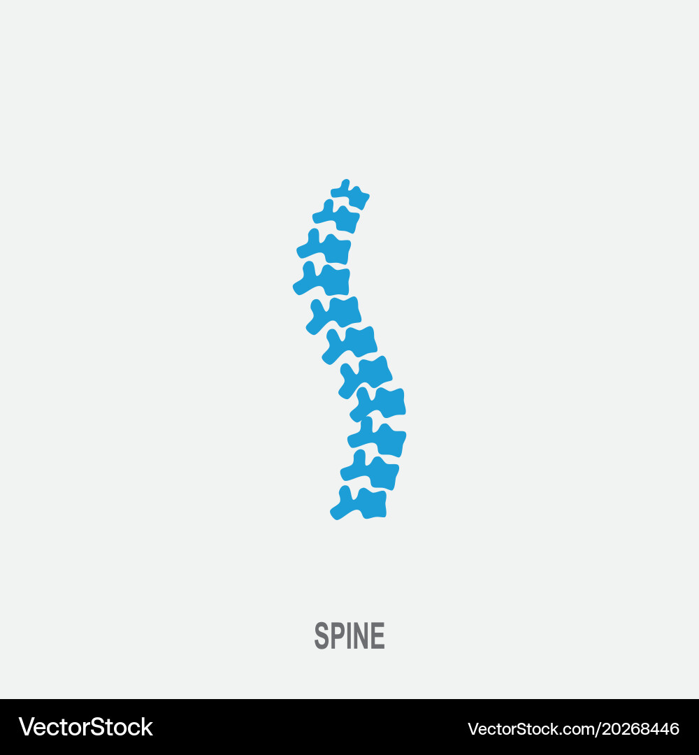 Spine icon spine diagnostics and therapy symbol Vector Image