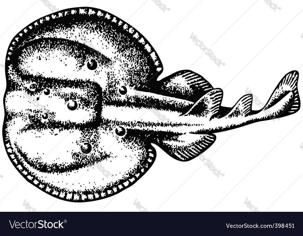 Ray Royalty Free Vector Image - VectorStock