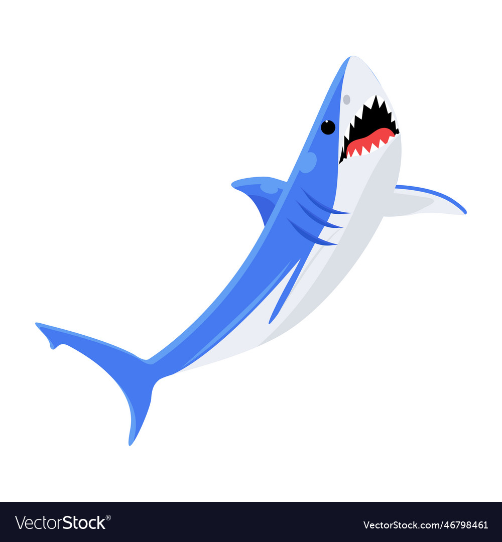 Shark Royalty Free Vector Image - VectorStock
