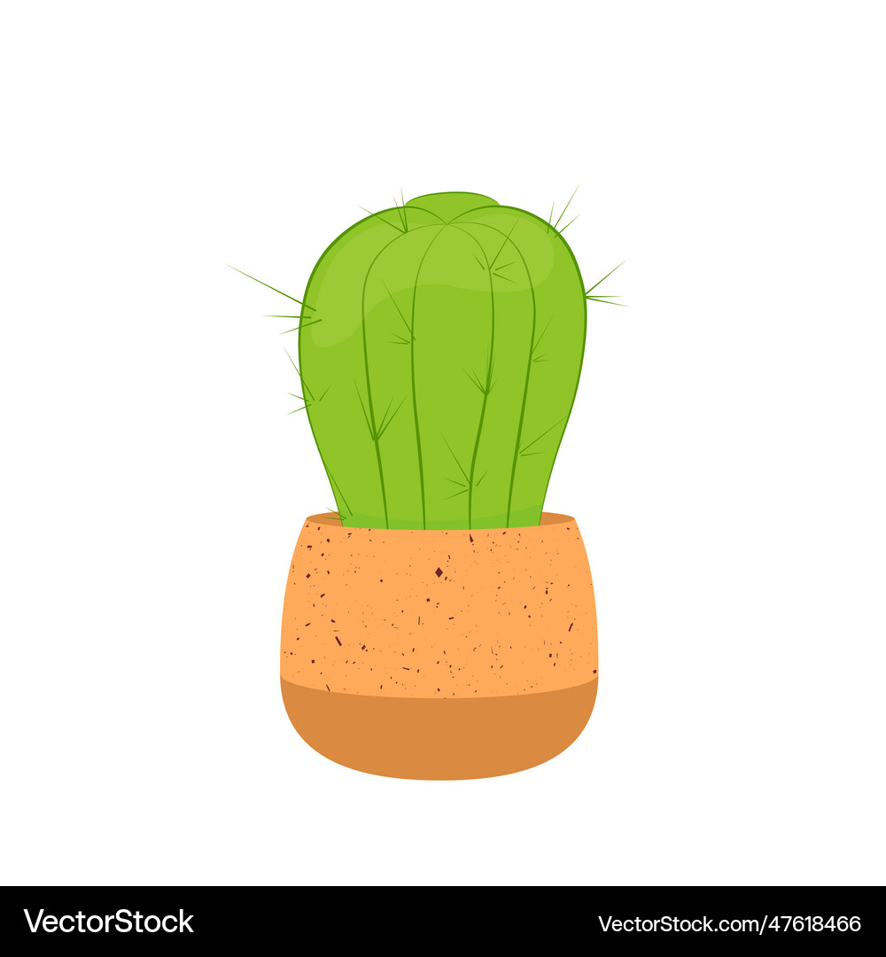 Cactus in a pot Royalty Free Vector Image - VectorStock