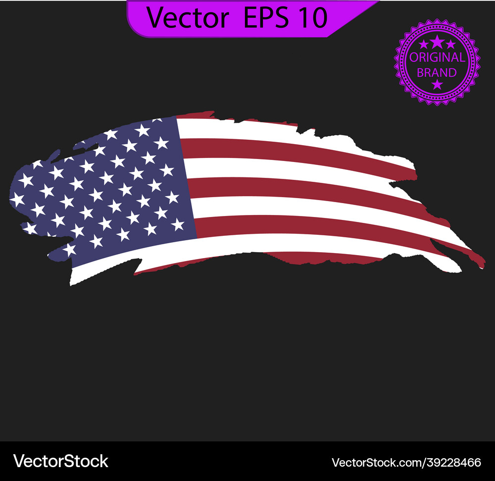 Usa flag distressed american flag Royalty Free Vector Image