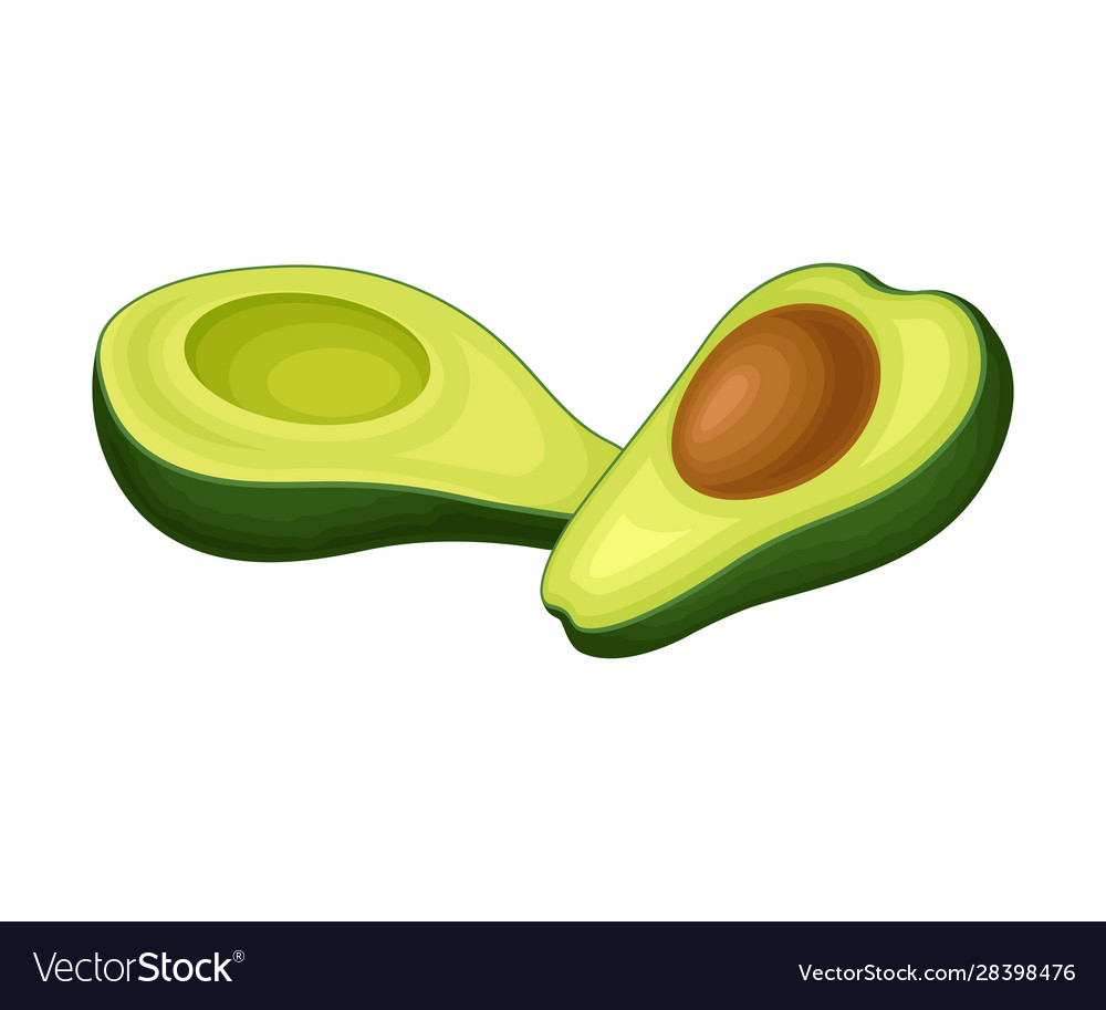 Avocado fruit food item Royalty Free Vector Image