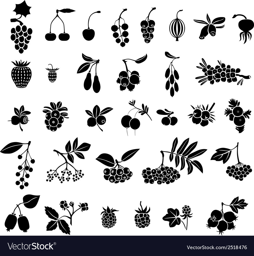 Berries set Royalty Free Vector Image - VectorStock