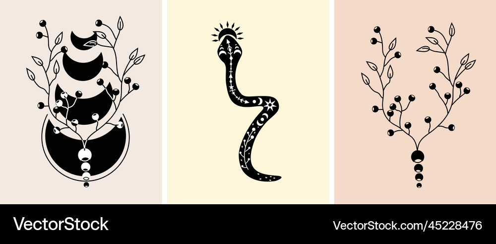 Black and white boho composition with snake Vector Image