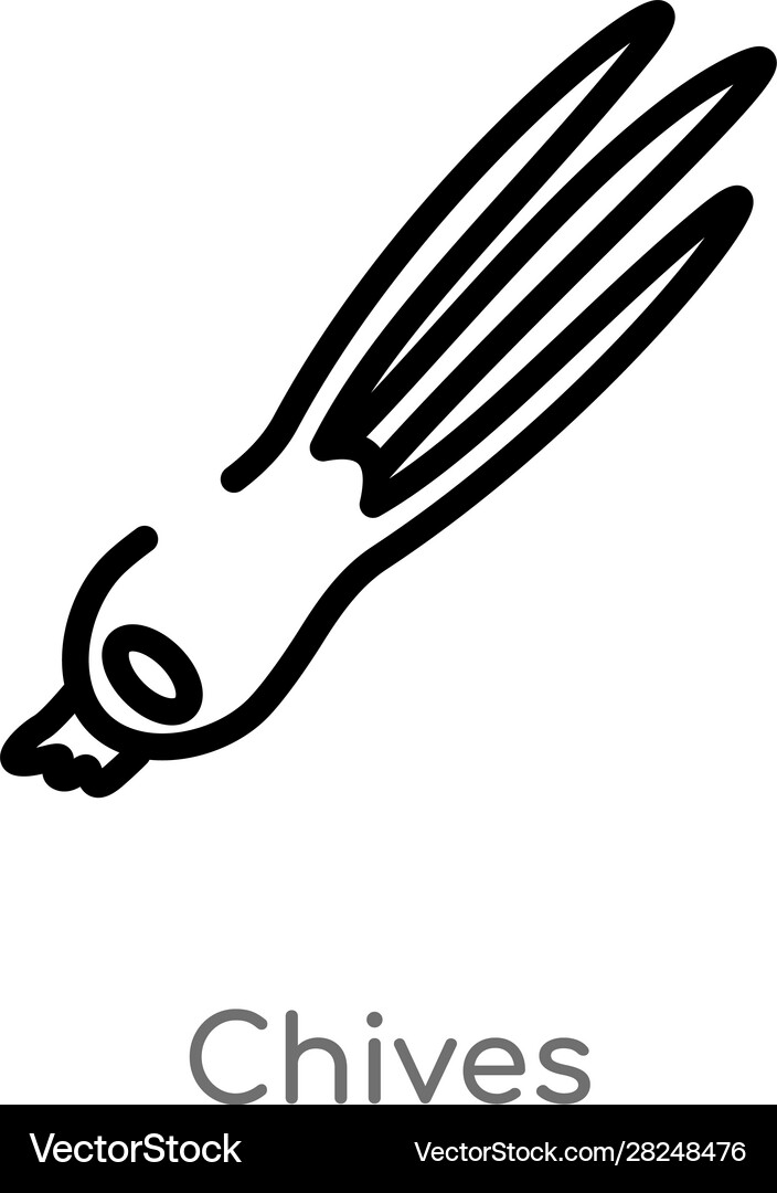 Outline chives icon isolated black simple line Vector Image