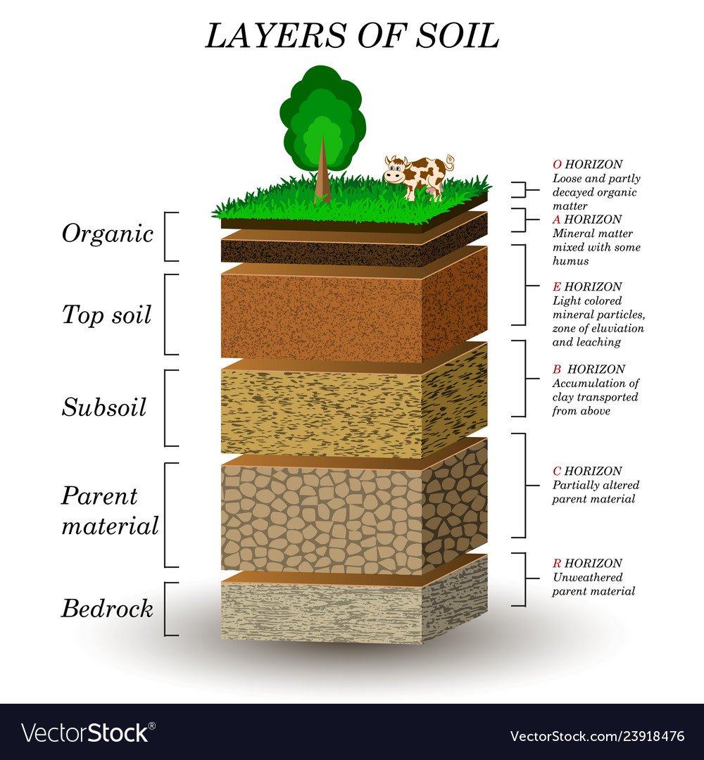 Soil1 Royalty Free Vector Image - VectorStock
