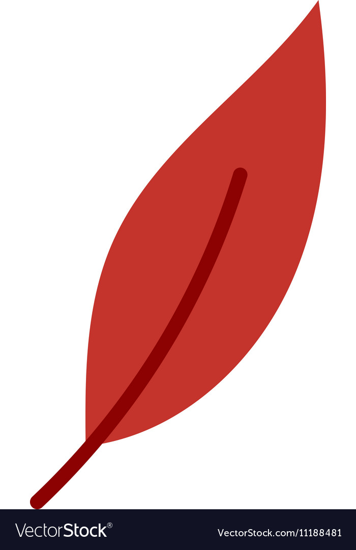 Autumn leaf Royalty Free Vector Image - VectorStock