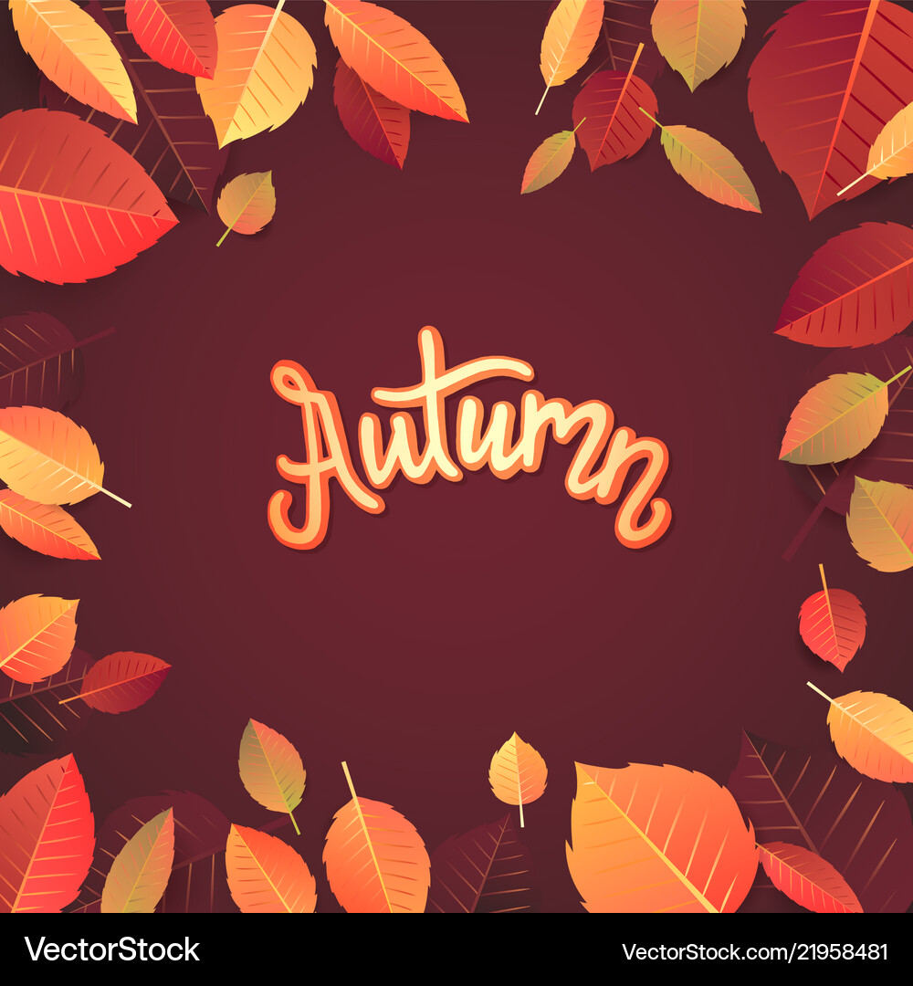 Autumn lettering hand written typography on white Vector Image