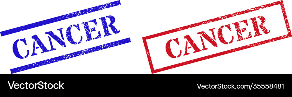 Cancer grunge rubber stamp seals with rectangle Vector Image