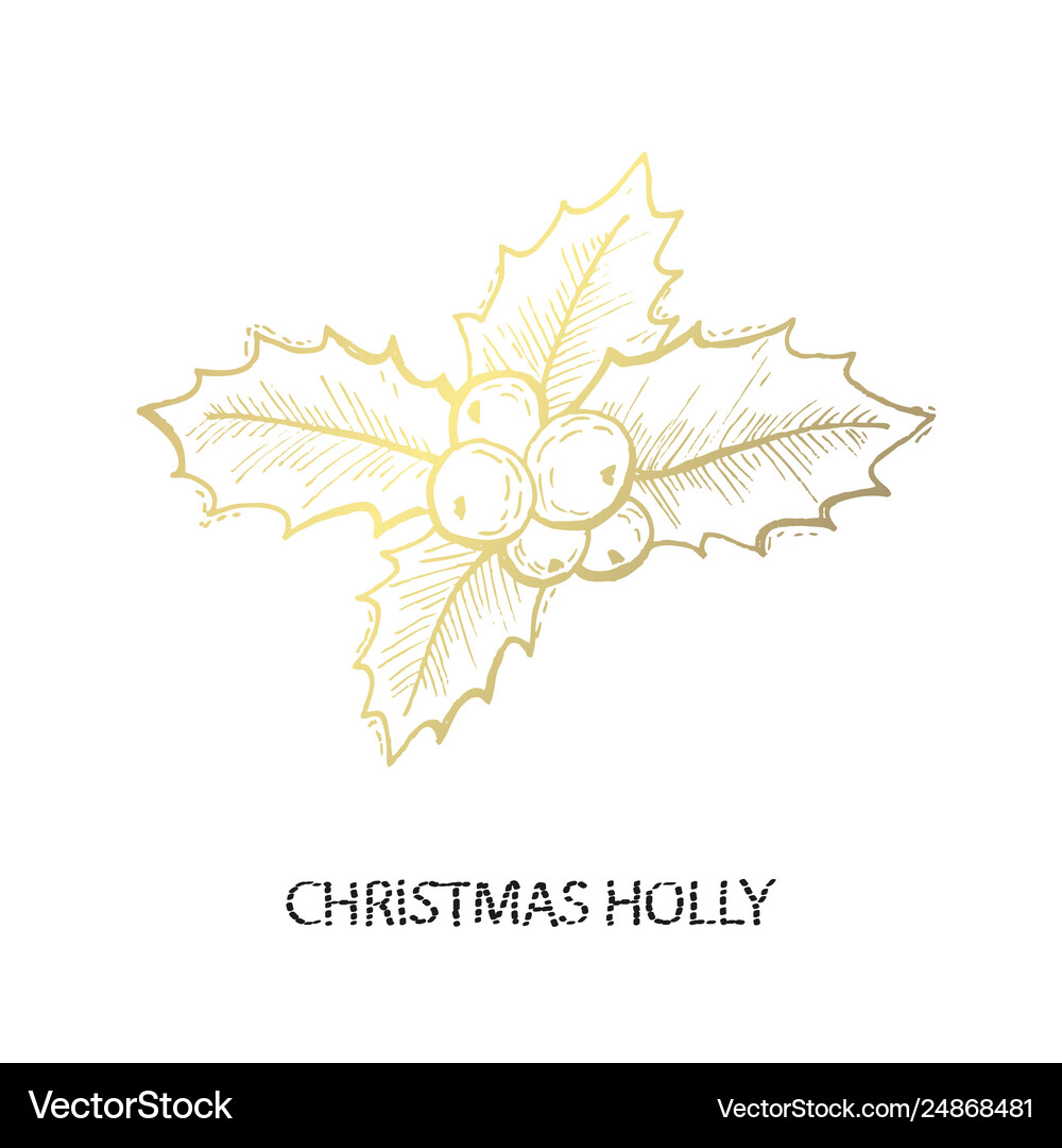 Decorative golden holly berry Royalty Free Vector Image