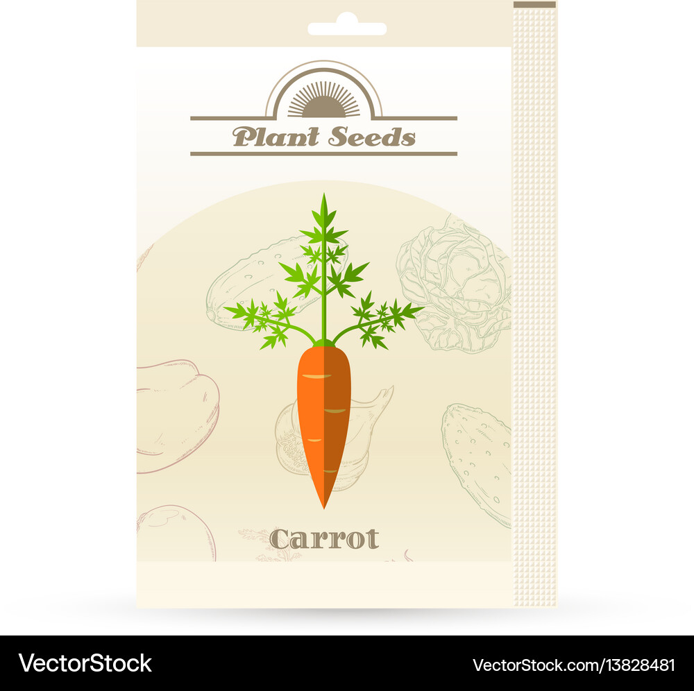 Pack of carrot seeds icon Royalty Free Vector Image