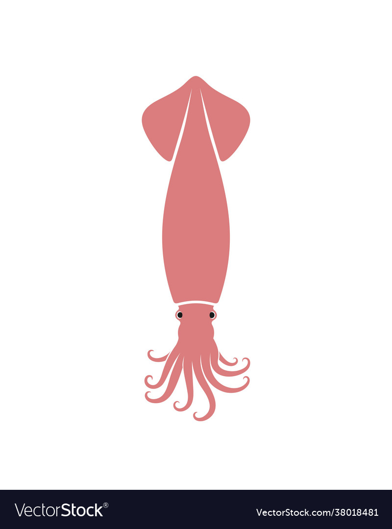 Squid Royalty Free Vector Image - VectorStock