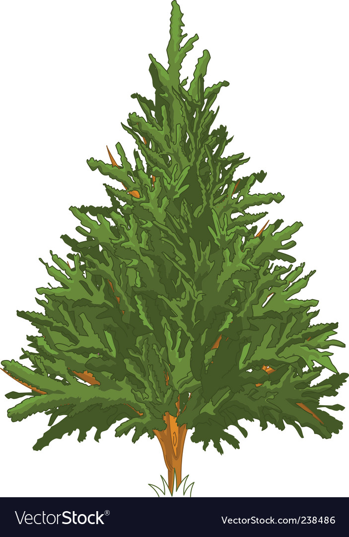 Pine tree Royalty Free Vector Image - VectorStock