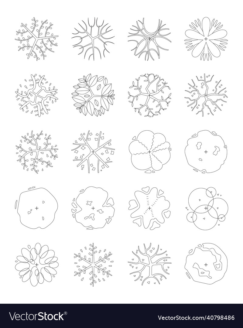 Top view tree set Royalty Free Vector Image - VectorStock