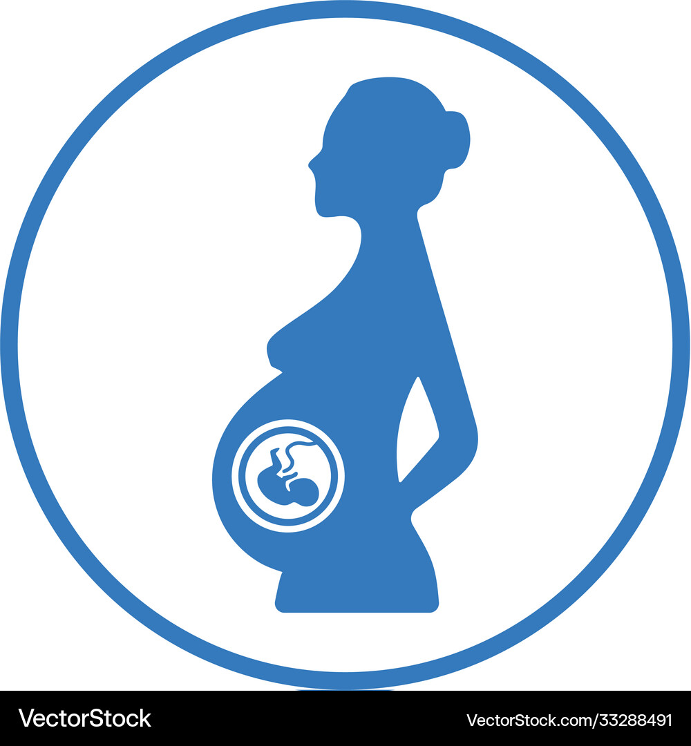 Fetus embryo pregnant blue icon Royalty Free Vector Image