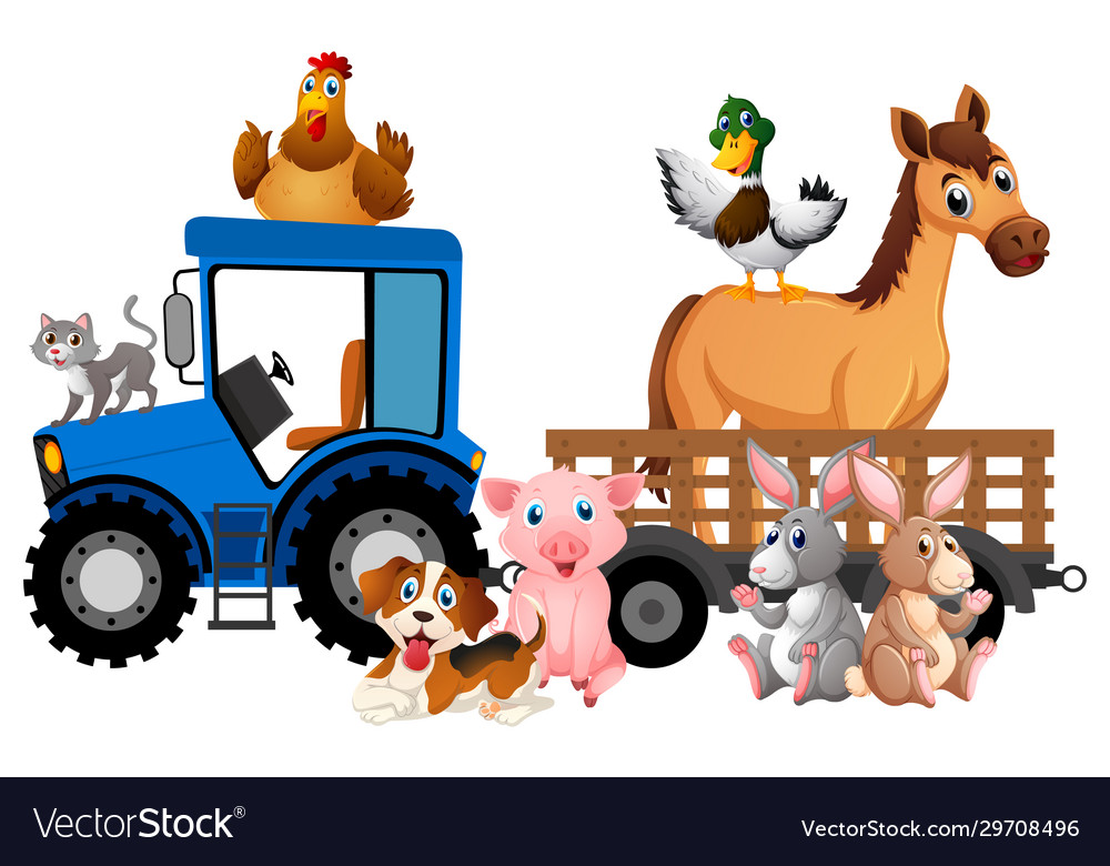 Many farm animals riding tractor on white Vector Image